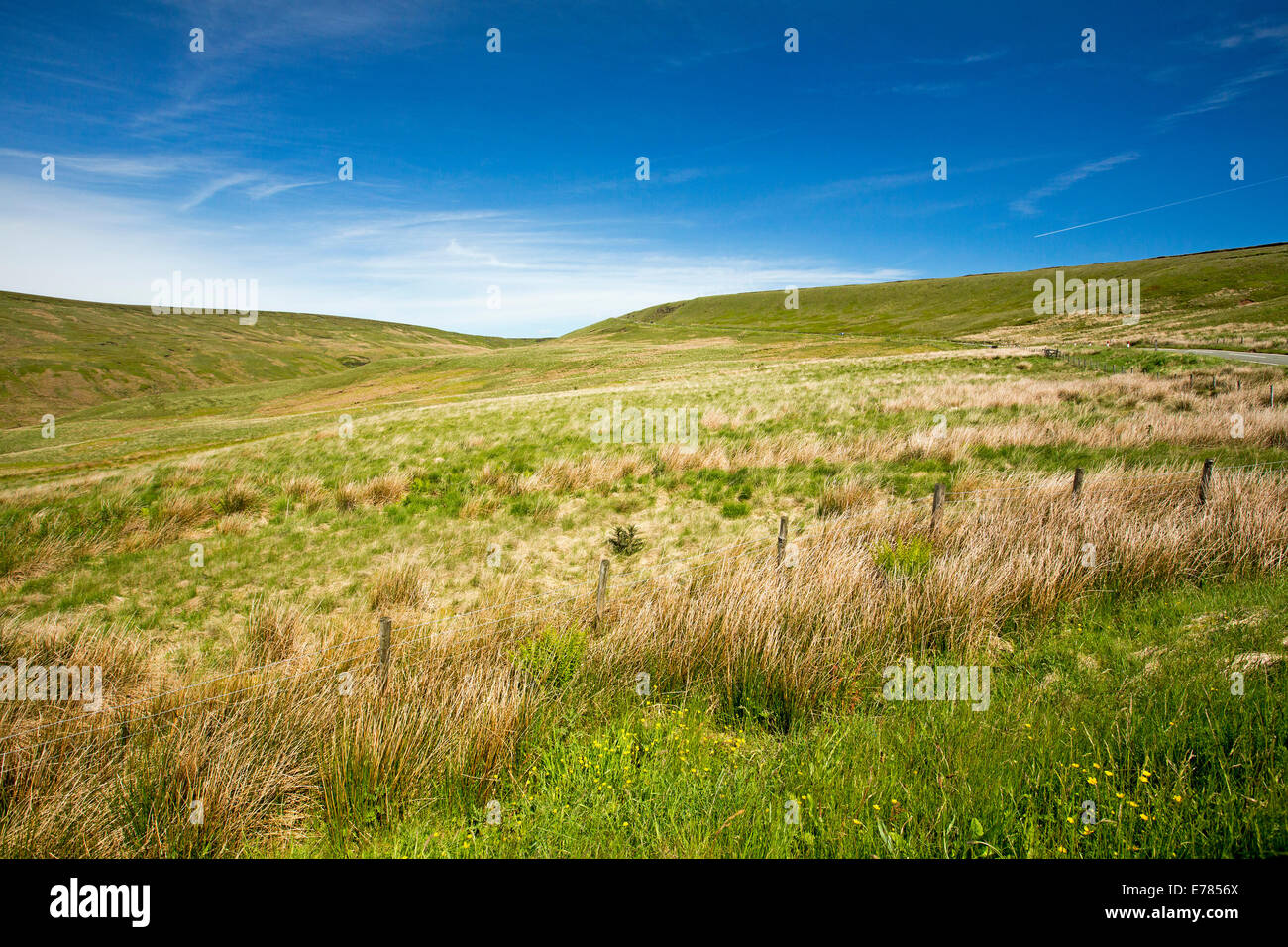 Treeless grasslands hi-res stock photography and images - Alamy