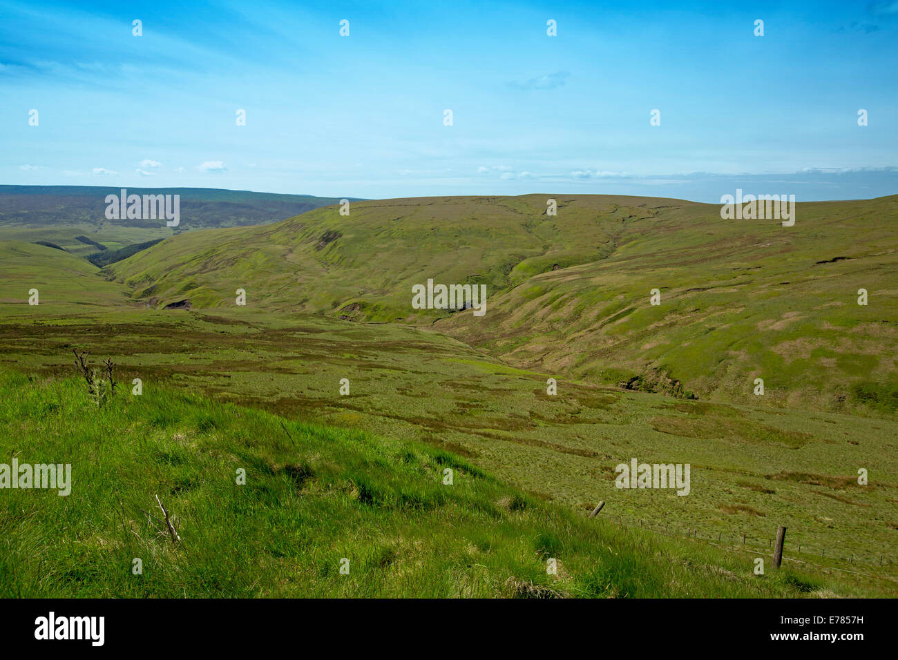Treeless grasslands hi-res stock photography and images - Alamy