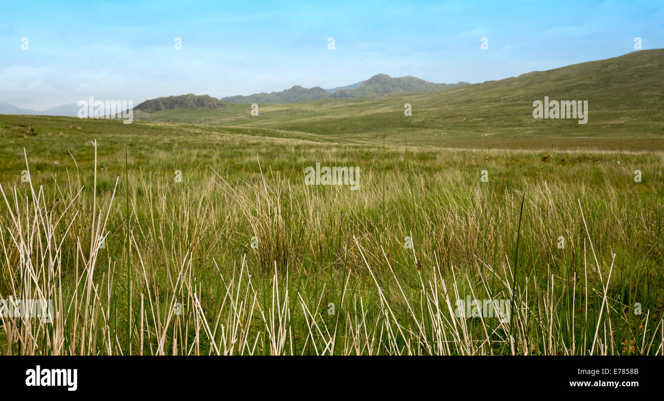 Cumbrian grasslands hi-res stock photography and images - Alamy