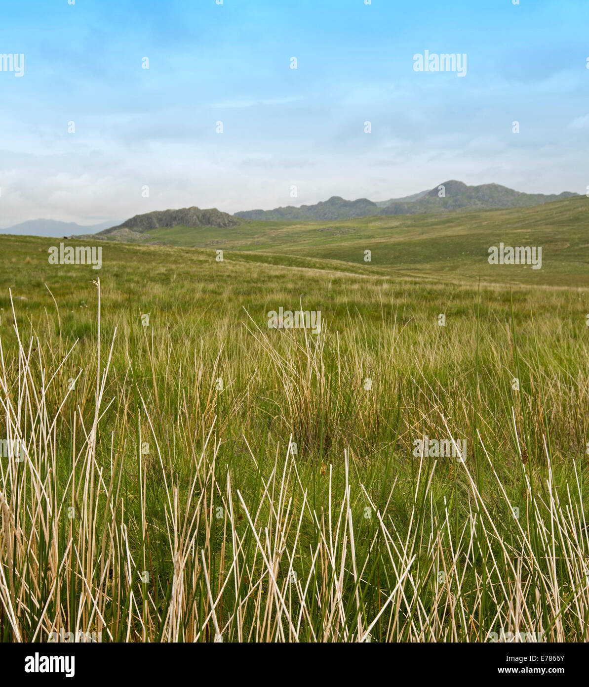 Vast landscape of high Cumbrian fells with emerald grasslands ...