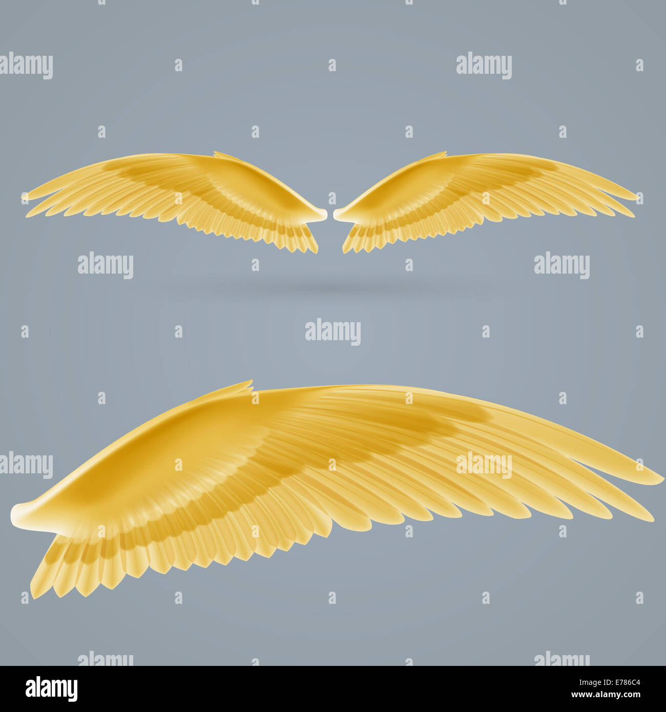 Inspiring yellow wings drawn separately on a gray background Stock ...