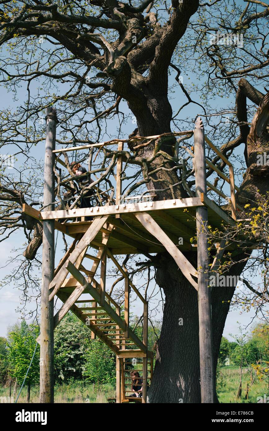Tree House, Nr. Bath England Stock Photo - Alamy