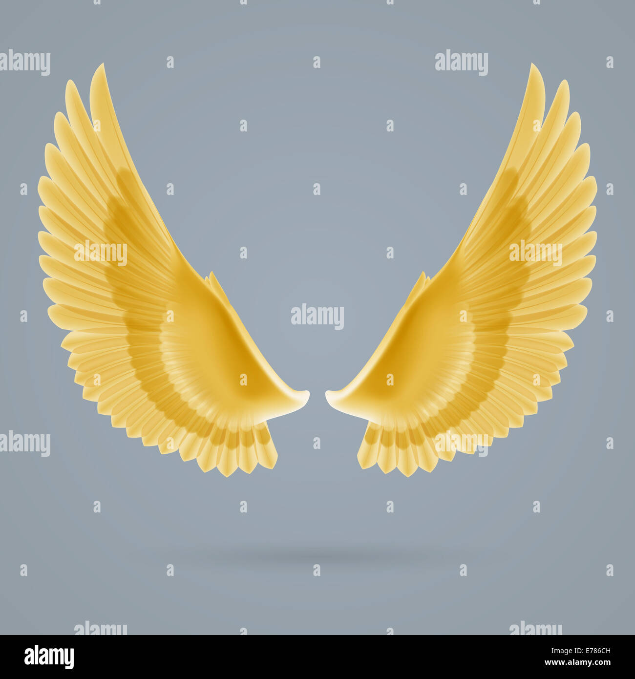 Inspiring wings up drawn separately on a gray background Stock Photo ...