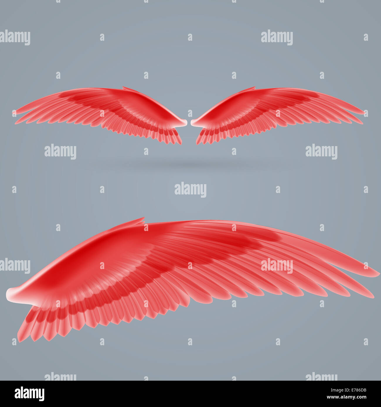 Inspiring wings red colour drawn separately on gray background Stock ...