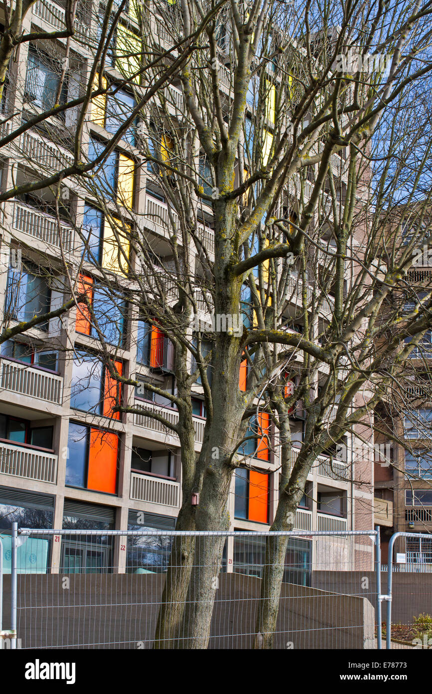 Park Hill flats, Grade II* listed brutalist council housing estate in ...
