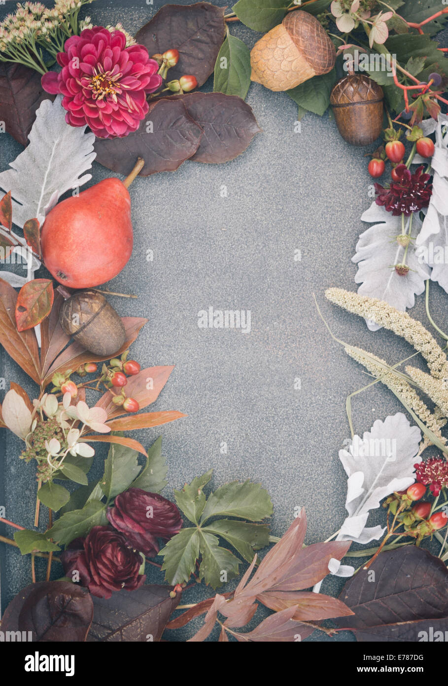 Chalkboard framed with fall foliage Stock Photo - Alamy