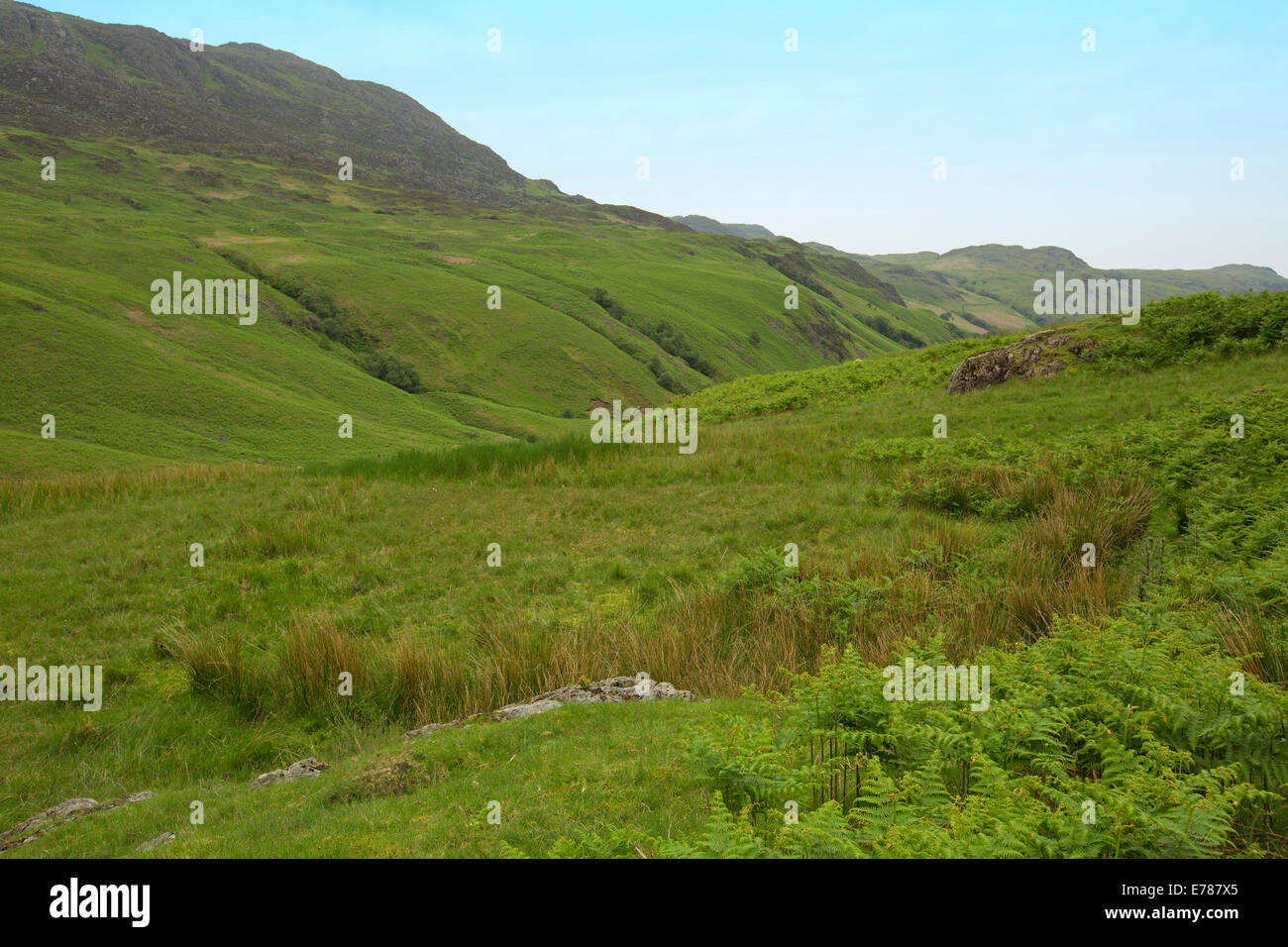 Vast landscape of emerald cloaked treeless hills and valleys under blue ...