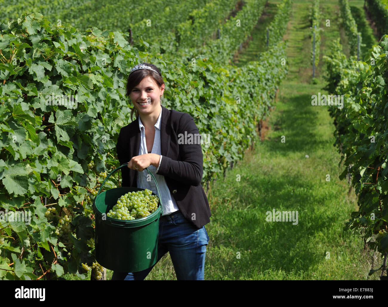 Princess grape hi-res stock photography and images - Alamy