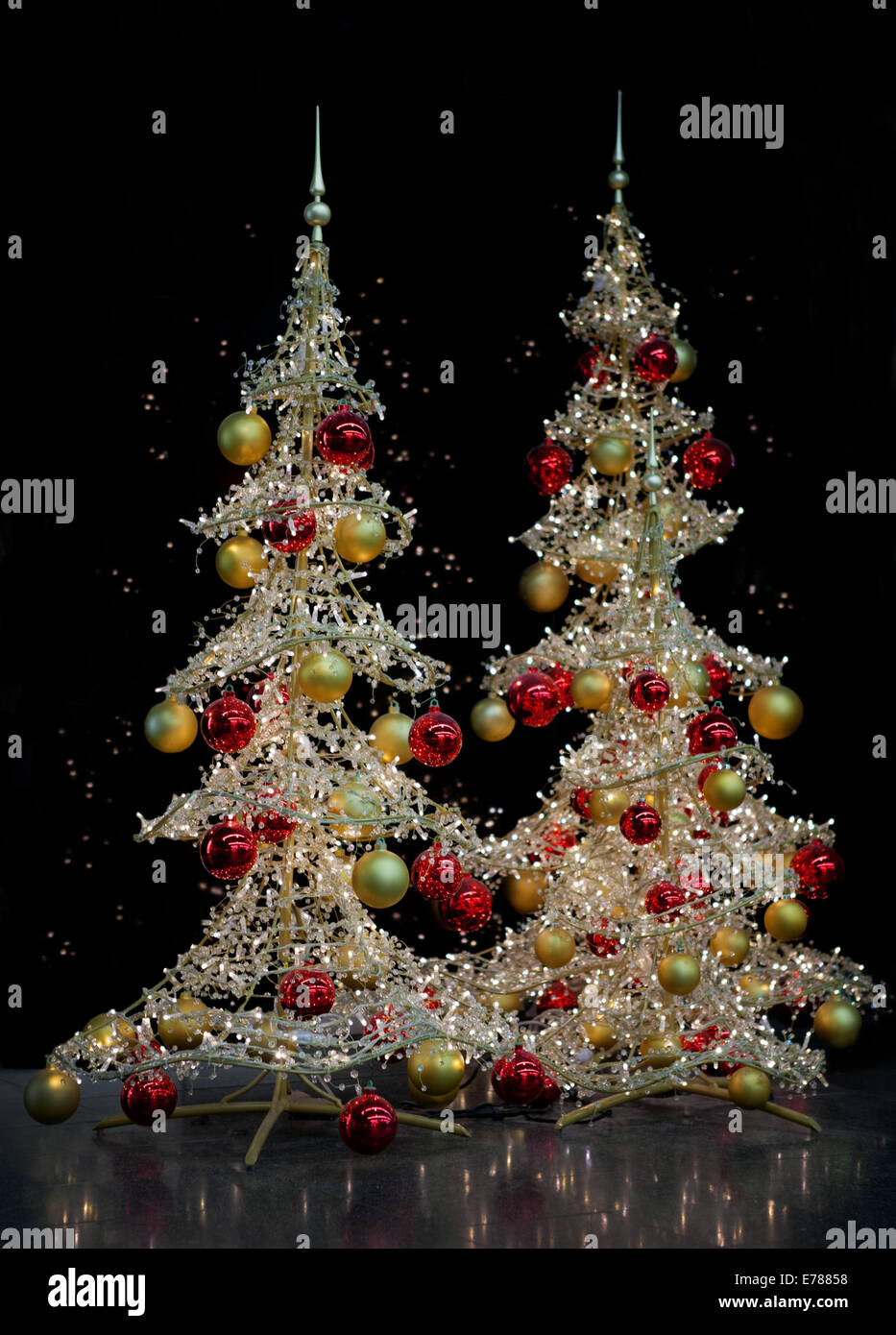 Silver trees hi-res stock photography and images - Alamy