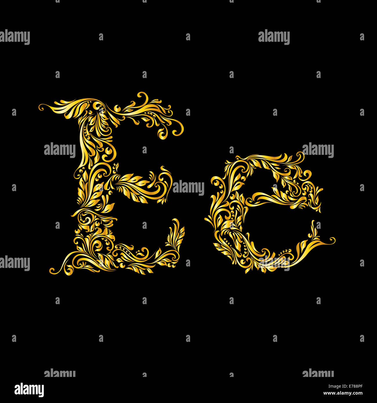 Richly decorated letter 'e' in upper and lower case on black background ...