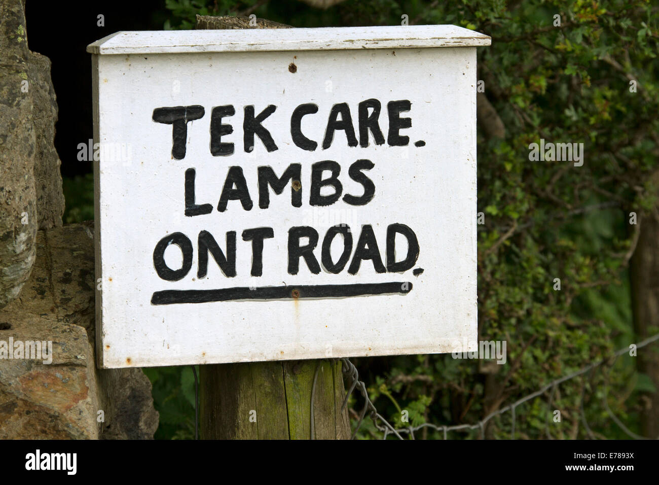 Hand written rural roadside sign warning of livestock on road, with ...