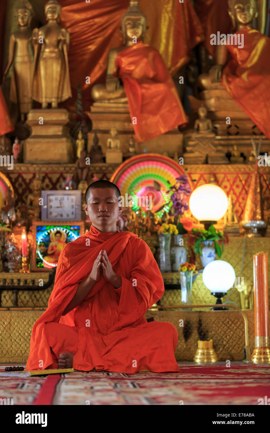 A monk praying in front of golden Buddhas, vertical Stock Photo - Alamy