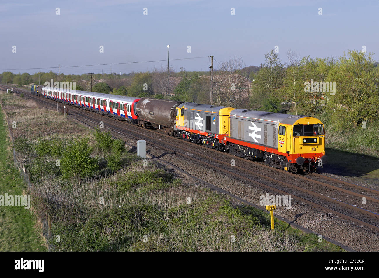 British rail class 50 diesel hi-res stock photography and images - Alamy