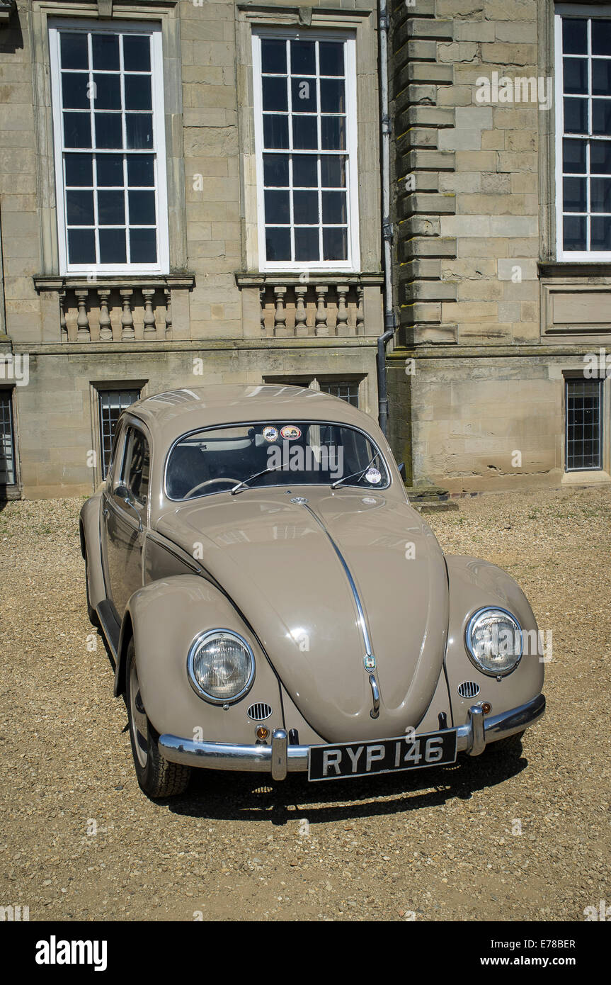 Classic volkswagen beetle hi-res stock photography and images - Alamy