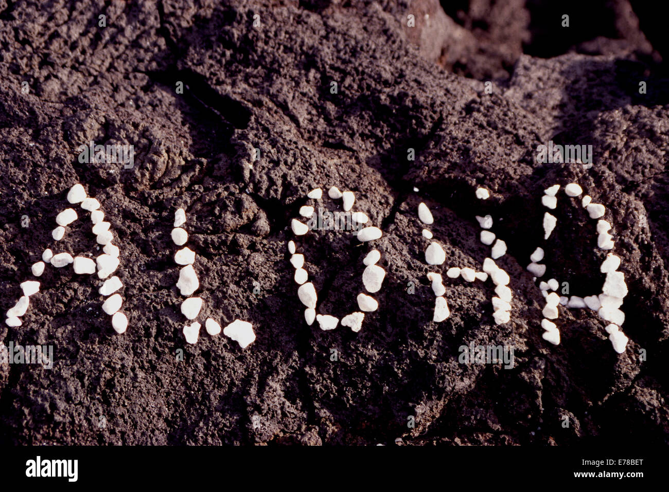 Hawaiian greeting hi-res stock photography and images - Alamy