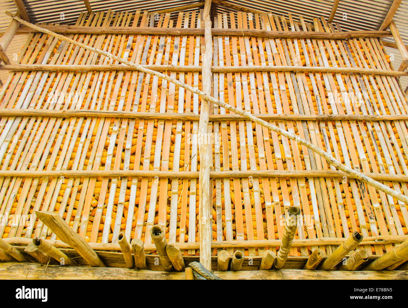 Bamboo roof house wood hi-res stock photography and images - Alamy