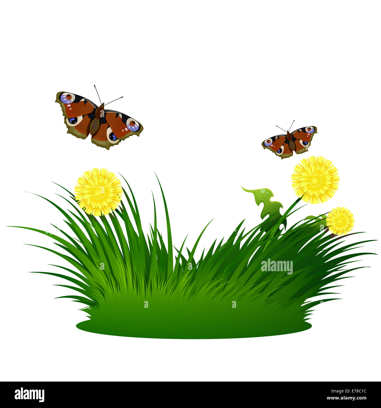Illustrations grass hi-res stock photography and images - Alamy