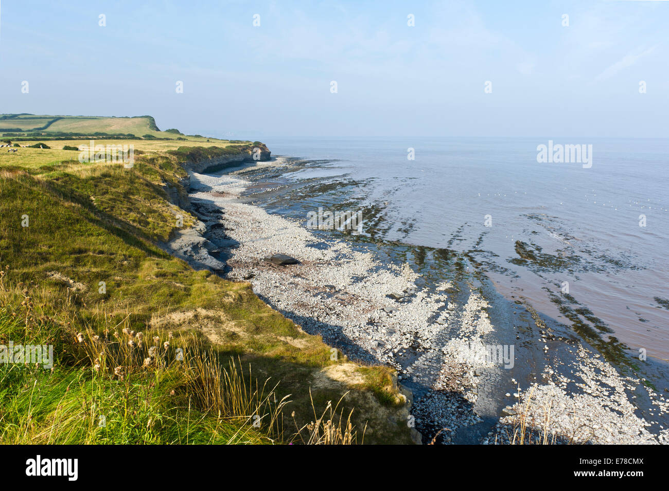 Kilve beach hi-res stock photography and images - Alamy