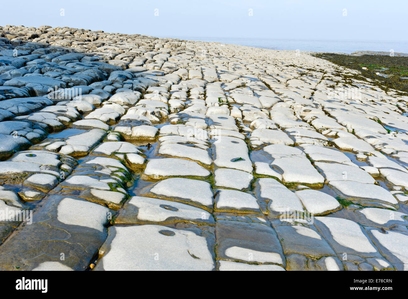 Rock formations, Kilve Beach, Somerset, England Stock Photo - Alamy