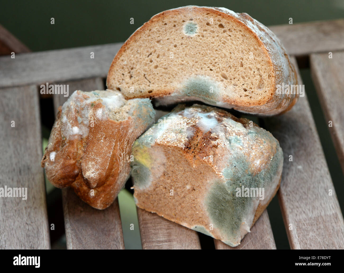 Mouldy bread in Berlin, Germany, 04 September 2014. Photo: JENS KALAENE ...