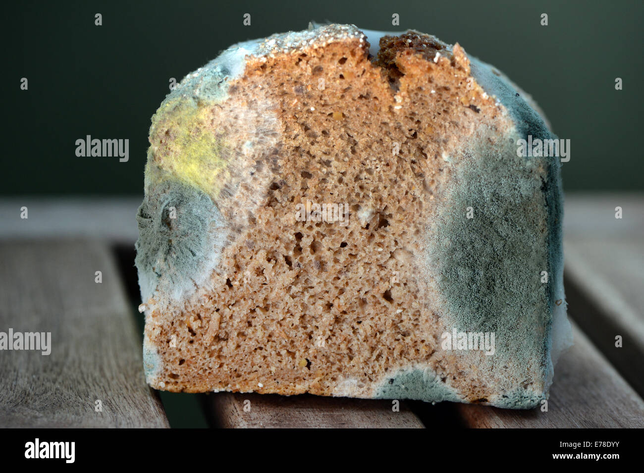 Mouldy bread hi-res stock photography and images - Alamy