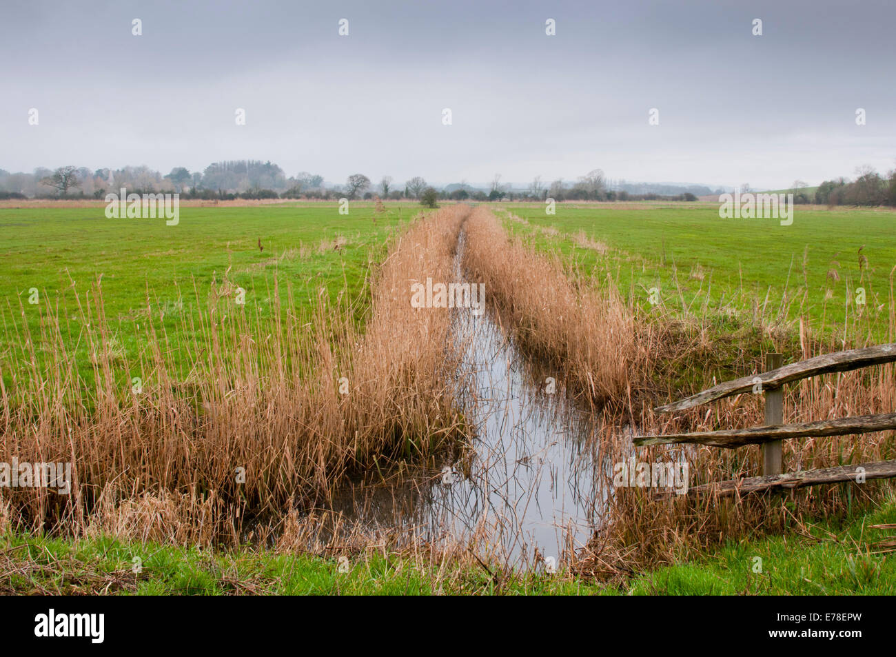 A drainage ditch between fields at Amberley, West Sussex Stock Photo ...
