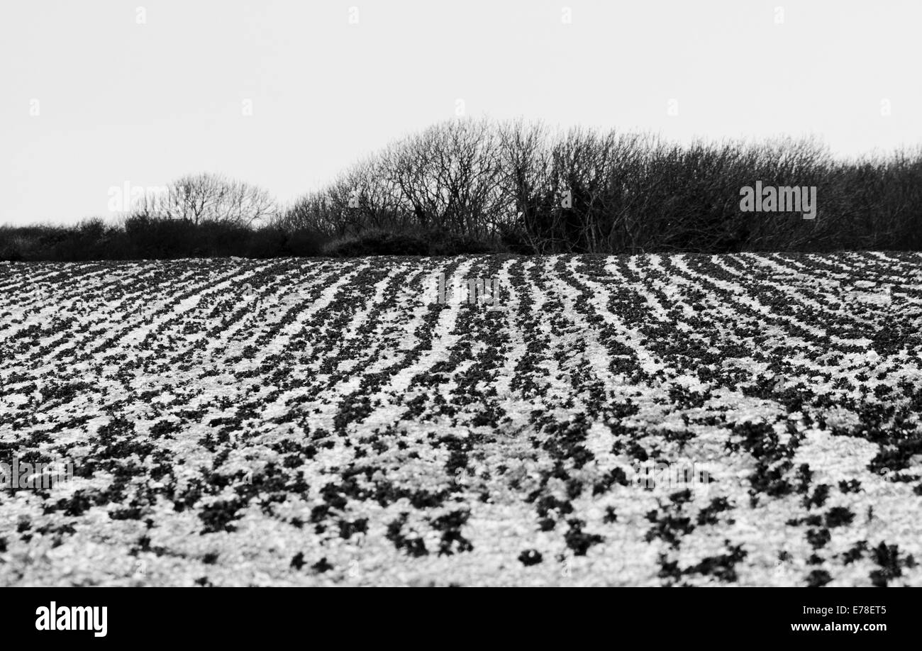 Chalk soil hi-res stock photography and images - Alamy