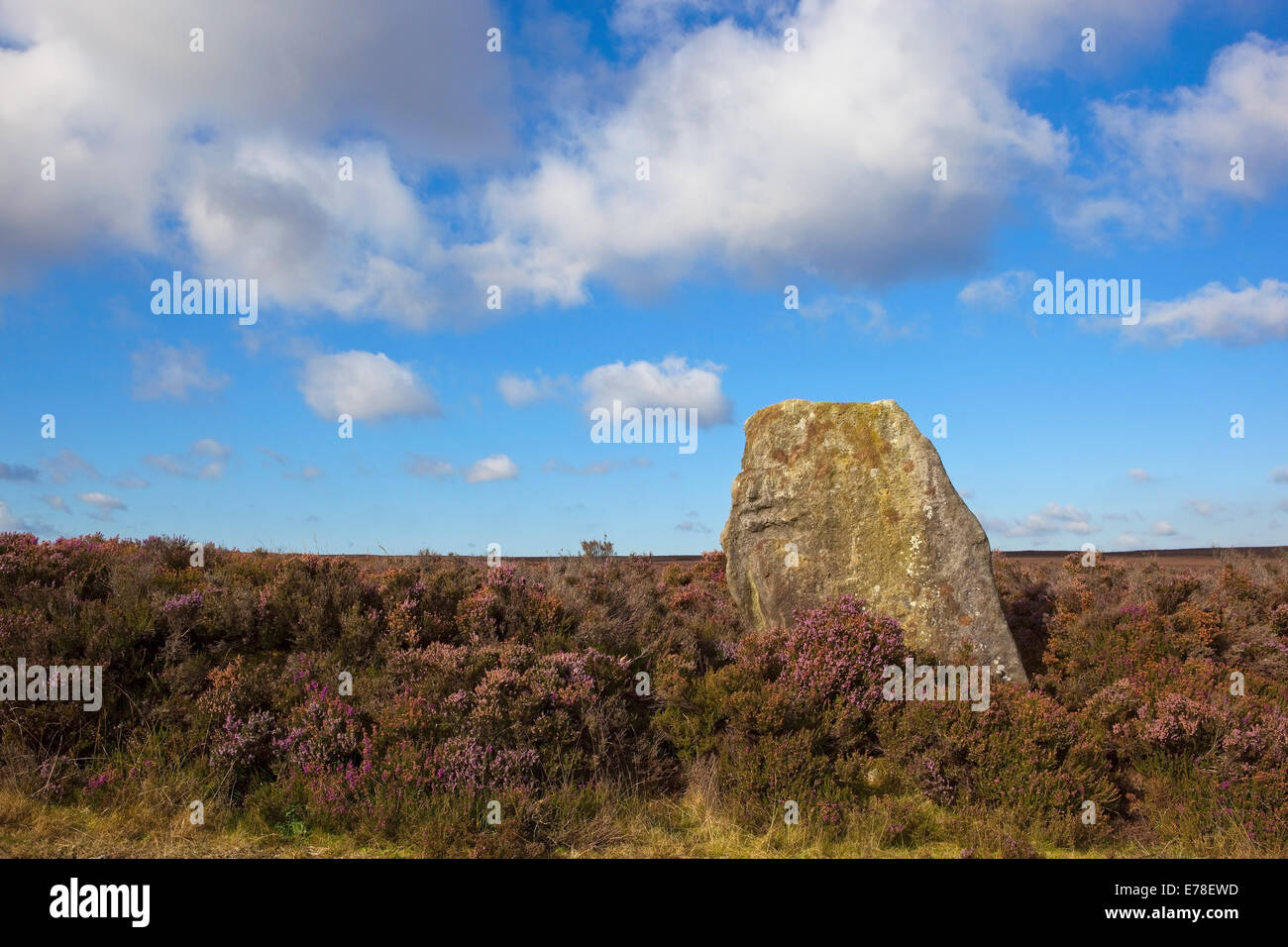 English upland landscape with an ancient monolith or standing stone ...