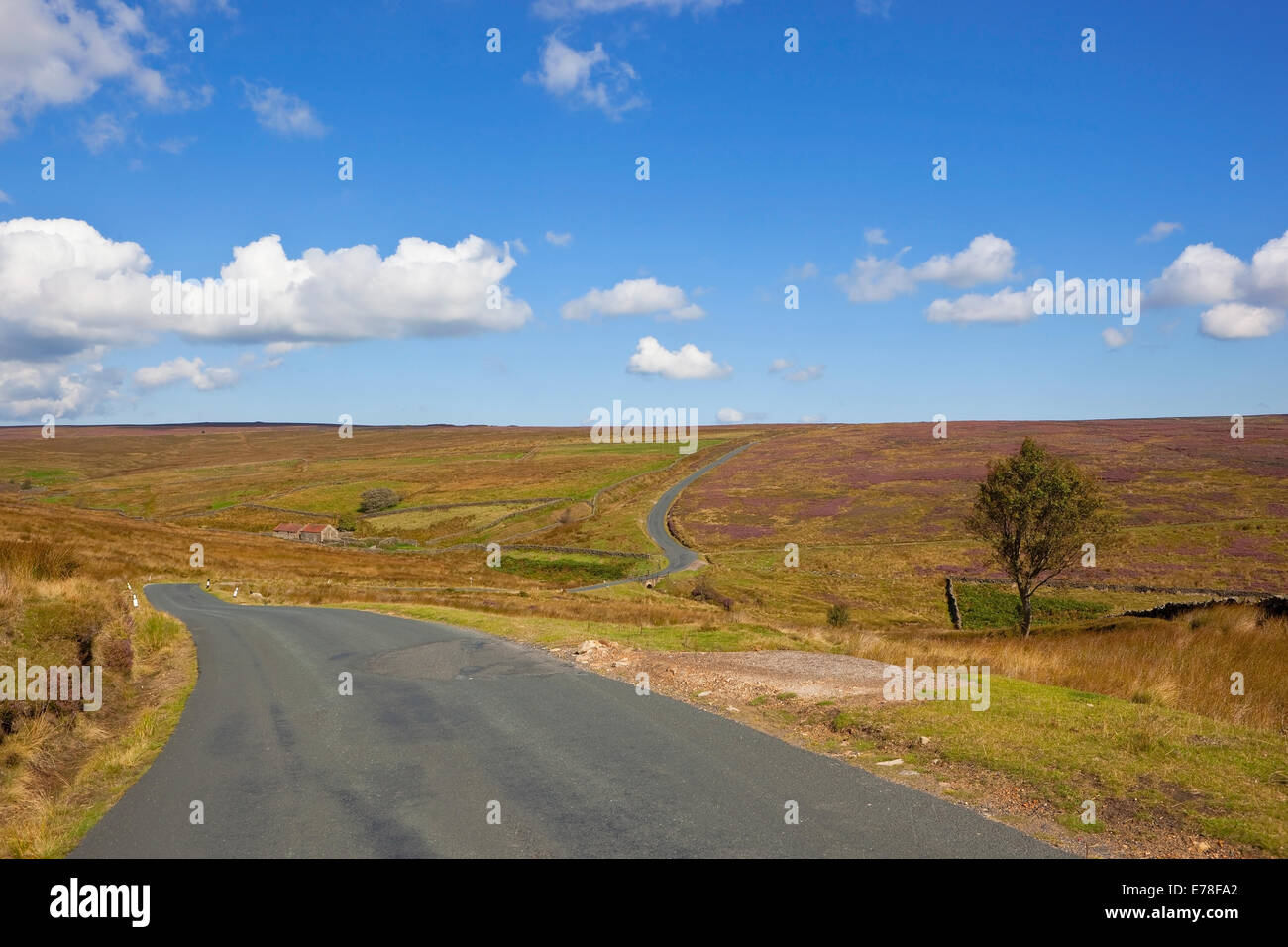 Relict Upland Landscapes – FSQRD