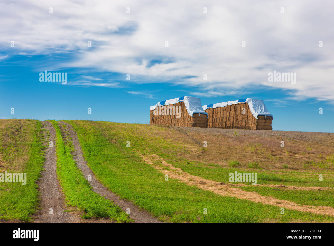 Path leads to haystack Stock Photo - Alamy