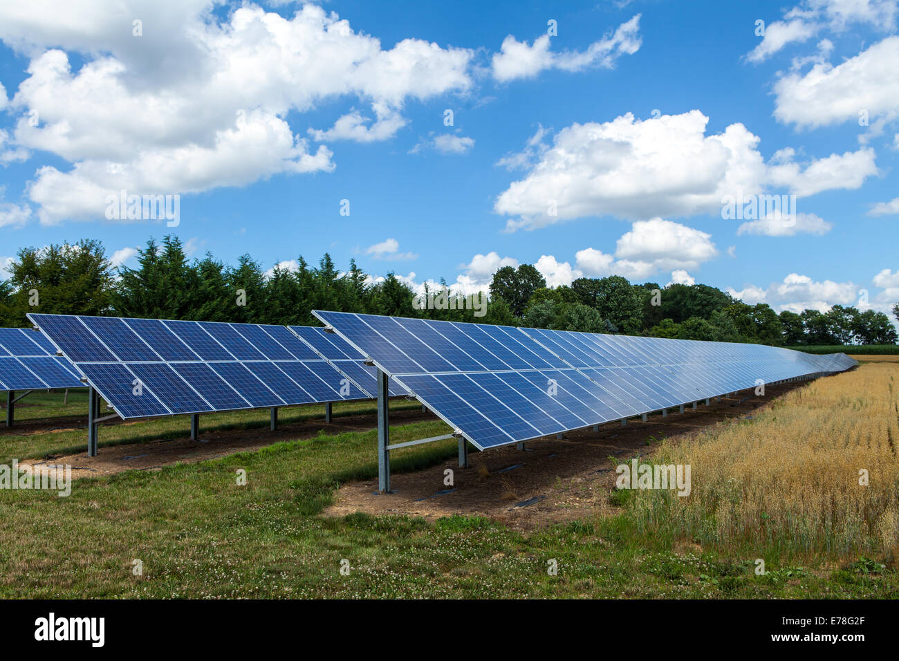 Solar panels installed in rural farmland Stock Photo - Alamy