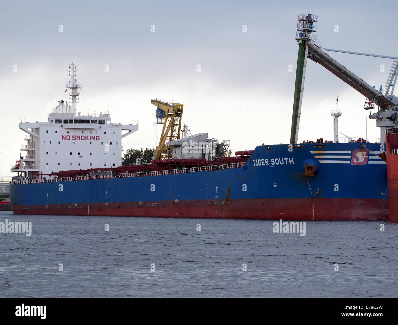 Tiger South (IMO 9619854) is a vessel docked at the Port of Amsterdam ...