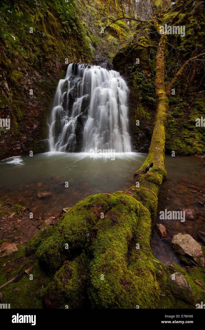 Devils Well Falls Redwood Creek in Archer Taylor Preserve Napa Valley ...