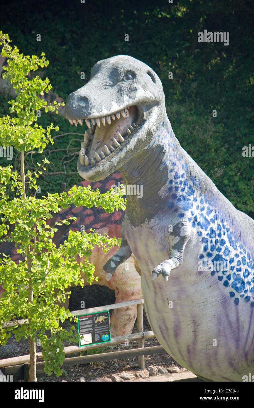 Wookey hi-res stock photography and images - Alamy