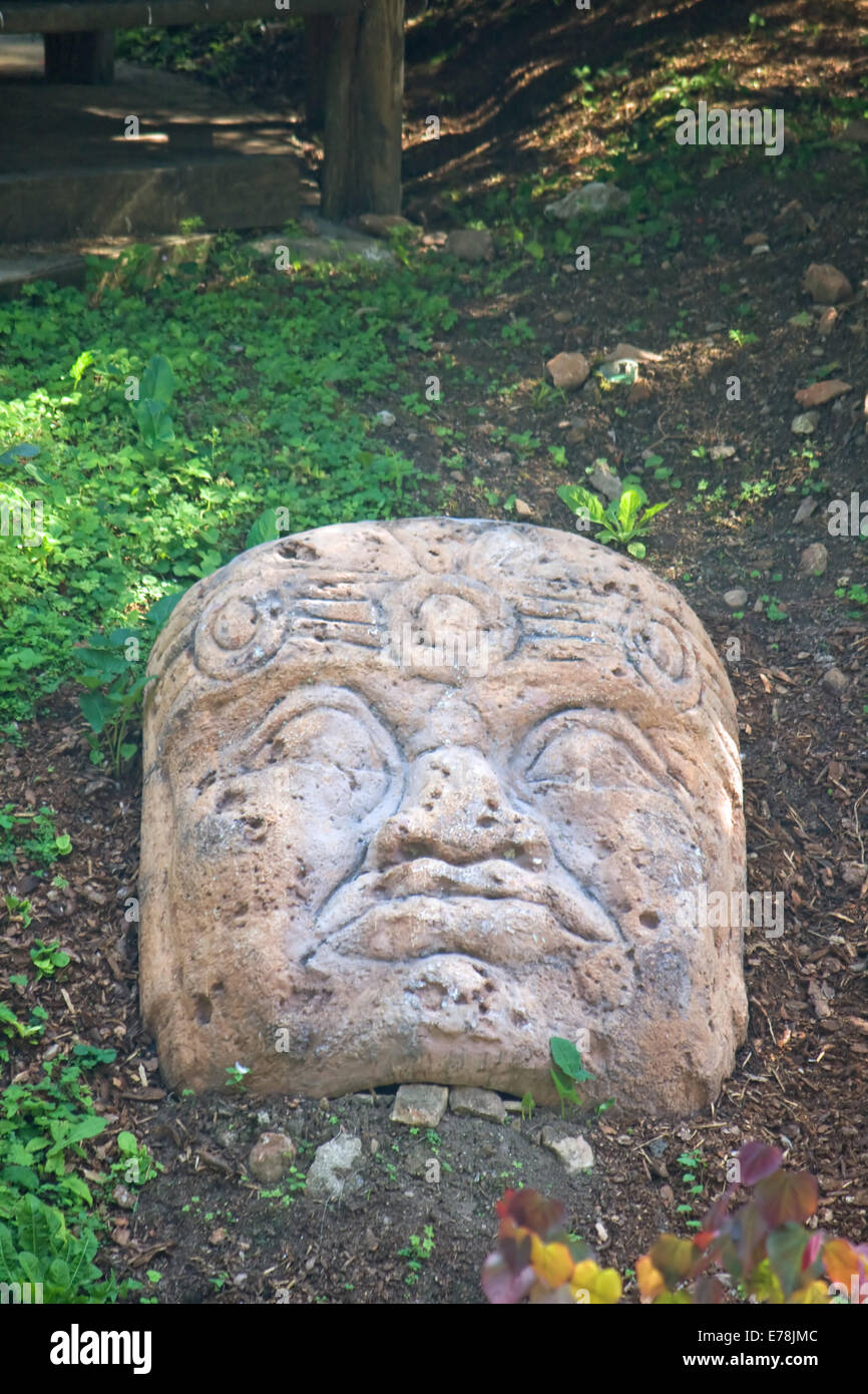 Face buried in earth hi-res stock photography and images - Alamy