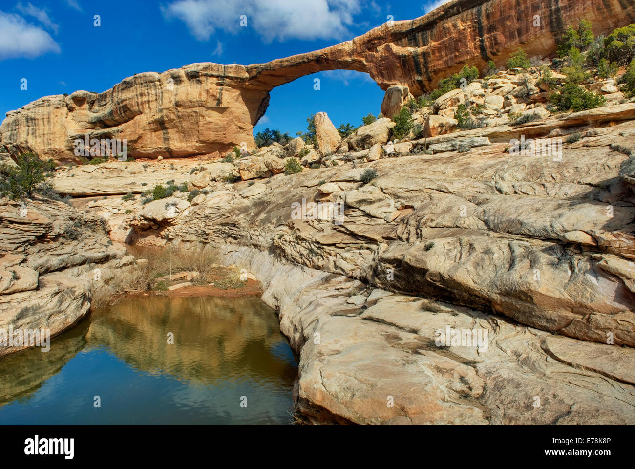 Owachomo Bridge, Natural Bridges National Monument Utah Stock Photo - Alamy