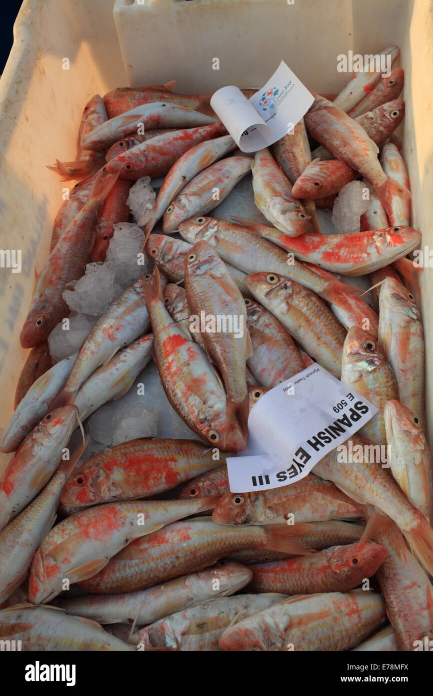 Market fish crate hi-res stock photography and images - Alamy