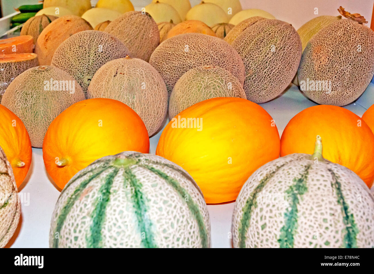 Variety of melons Stock Photo - Alamy