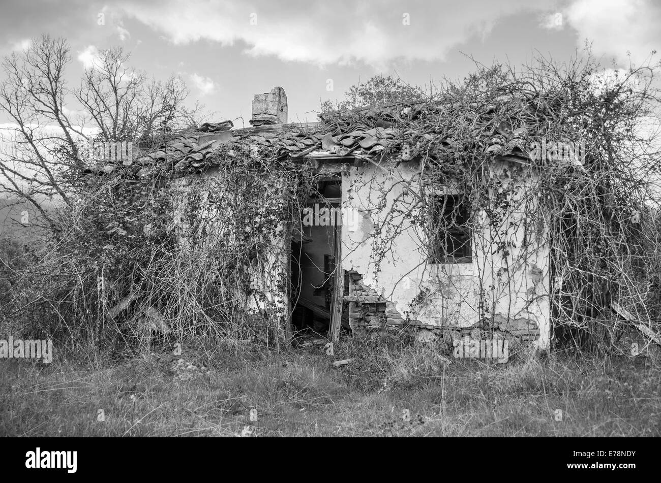 Dark creepy halloween background Black and White Stock Photos & Images ...