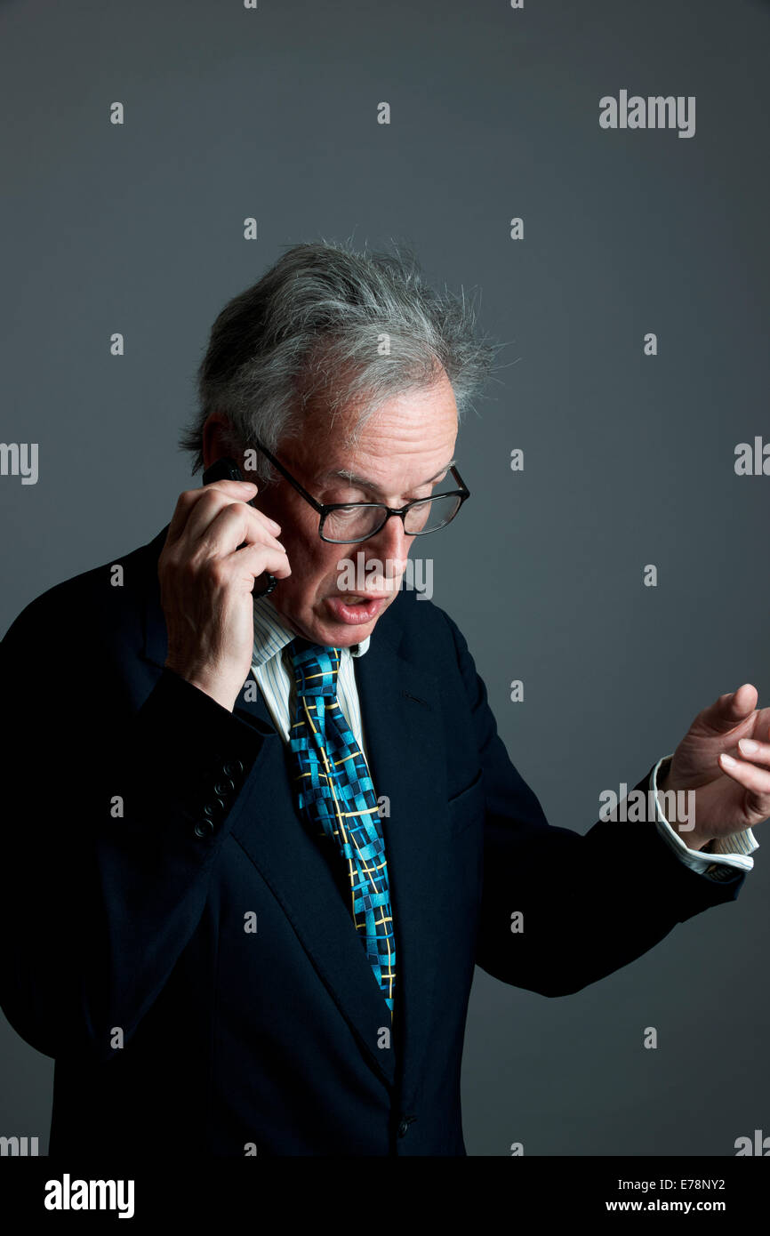 Andrew Barrow at the Oldie Literary Lunch 9-9-14 Stock Photo - Alamy
