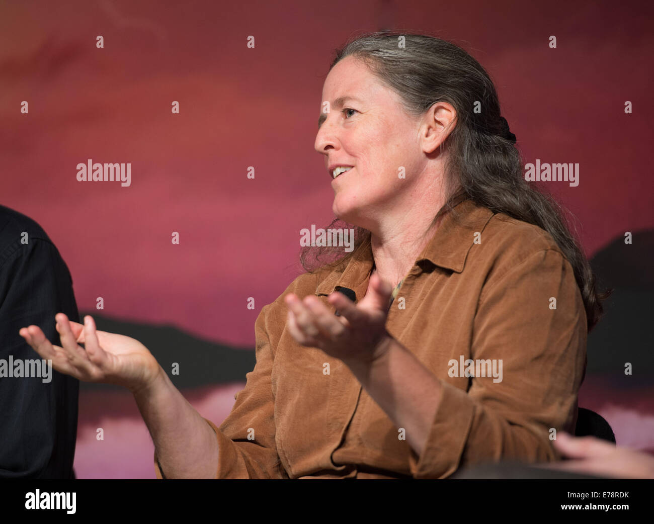 Dr. Dawn Sumner, Professor of Geology, UC Davis, speaks on a panel at ...