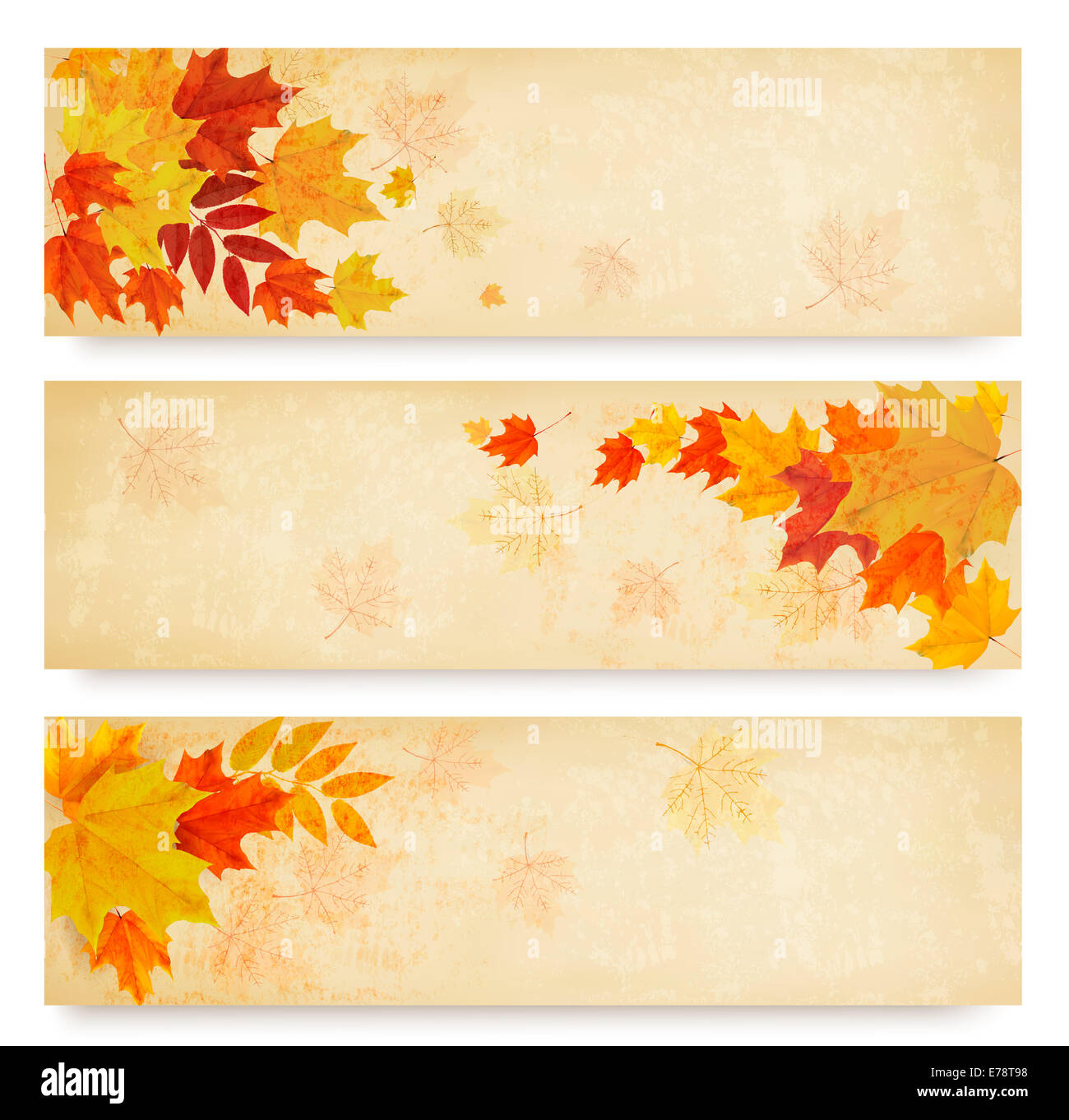 Three autumn banners vector hi-res stock photography and images - Alamy