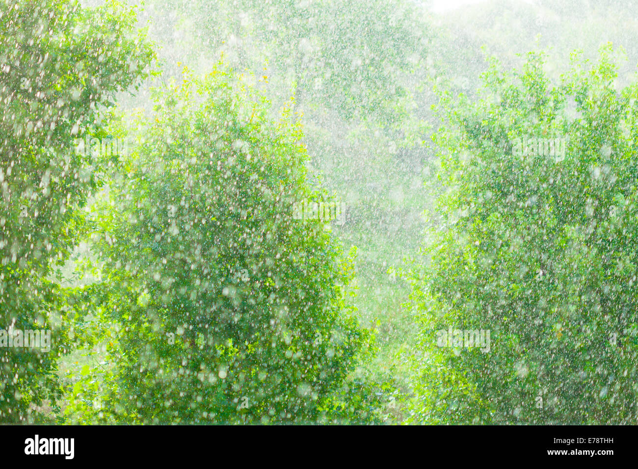 Summer rainy outside window, water drops droplets raindrops on glass windowpane as background ...