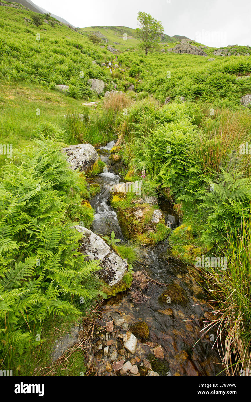 Pure spring water hi-res stock photography and images - Alamy