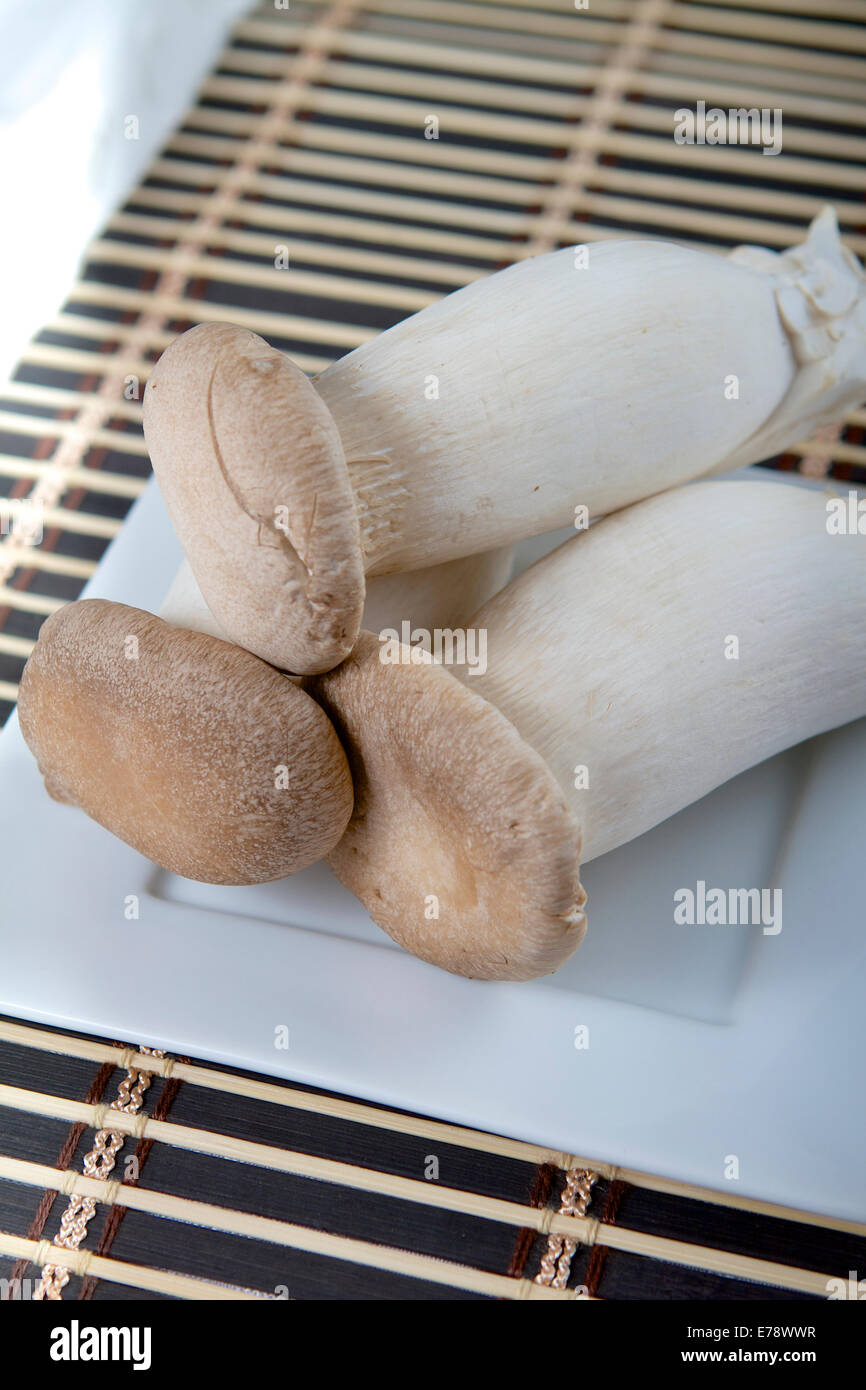 Fresh King Oyster mushrooms Pleurotus Eryngii also called King Trumpet ...