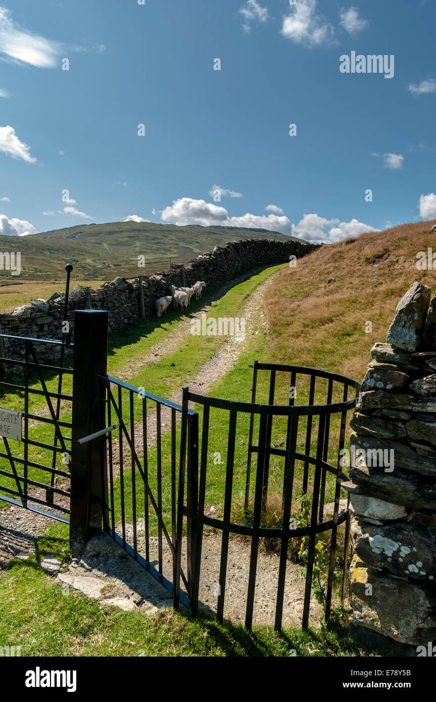 North Wales upland footpath cutting through Bryn Derwydd on the way to ...
