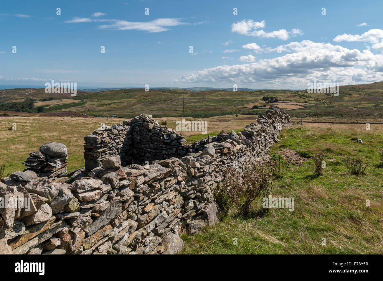 North Wales upland footpath cutting through Bryn Derwydd on the way to ...