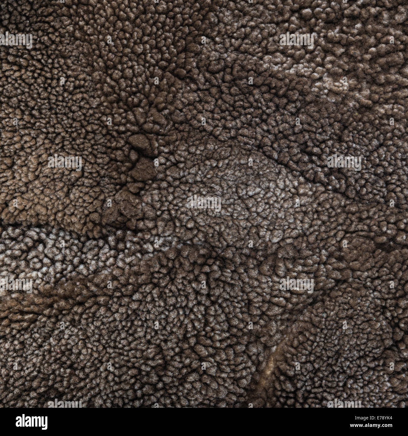 Sheep skin lining hi-res stock photography and images - Alamy