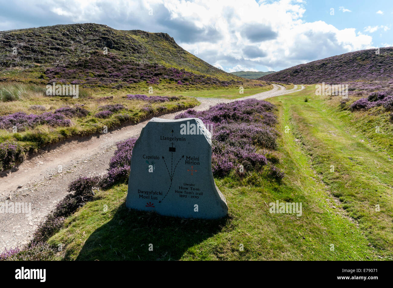Jubilee path direction sign from Foel Lus showing route to Llangelynin ...