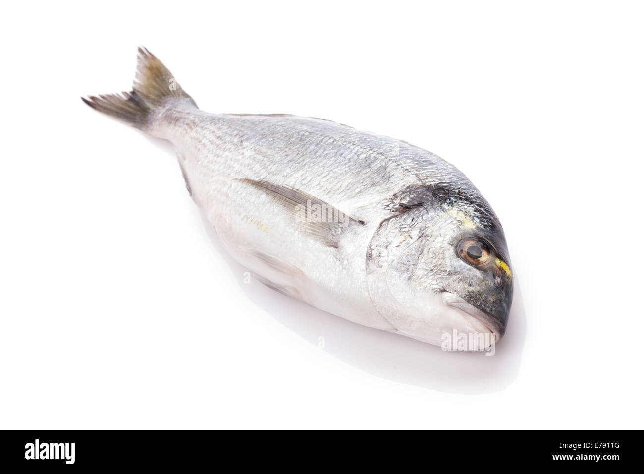 Fresh dorado fish. Isolated on white background Stock Photo - Alamy